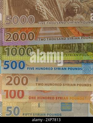 Syrian lira currency notes with a note book isolated on white ...