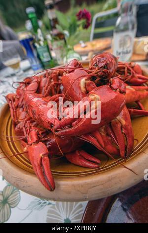 Freshly cooked red boiled crayfish on a plate. Russian food. Close-up ...