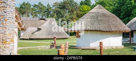 1 June 2024, indjija, Serbia: 1 June 2024, indjija, Serbia: Celtic ...