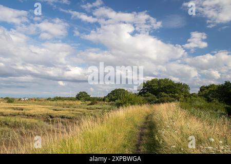 Footpath along the Saltmarsh at Brandy Hole, Hullbridge, Essex, England ...