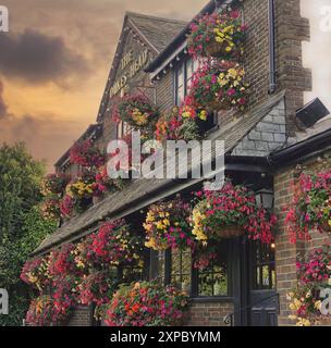 Tadworth, Surrey, UK 4th August, 2024 Traditional English summer ...