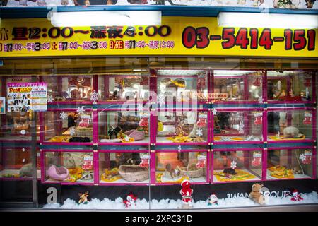 Pet shop in Tokyo, Japan, Asia. Japanese people shopping in store ...