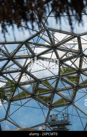 Interior of the rainforest biome showing the hexagonal tubular steel ...