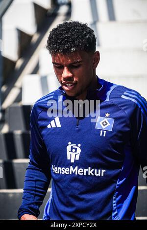 Ransford-Yeboah Koenigsdoerffer (Hamburger SV, #11) GER, Hamburger SV ...