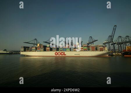 The container ship OOCL Turkiye docked at the Port of Felixstowe in ...