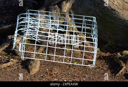white wire basket near tree trunk Stock Photo - Alamy