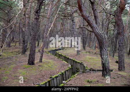 Cold War defensive fortification line in Hel, Poland © Wojciech Strozyk ...