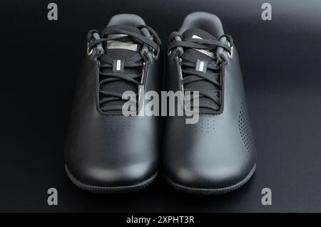 Luxury casual leather sports shoes for men close-up with copy space ...