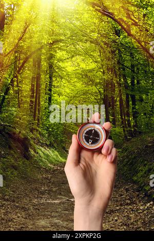 Green hiking compass in the forest on a stump in the sunlight Stock ...