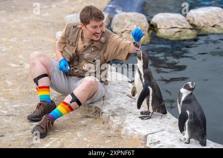Award-winning drag king Bi-Curious George meets the penguins in the ...
