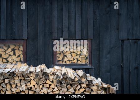 Firewood background. Different types of wood textures background ...