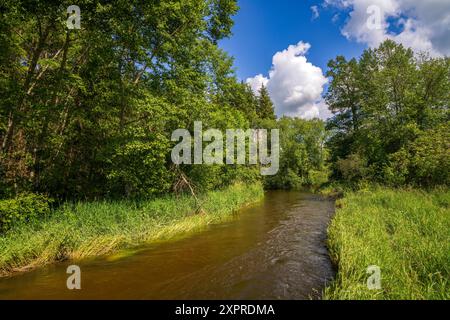 In summer on the river Ach near Huglfing, Bavaria, Germany Stock Photo ...