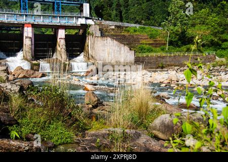 Bindu lies in the Indo-Bhutan border, India's second oldest dam is ...