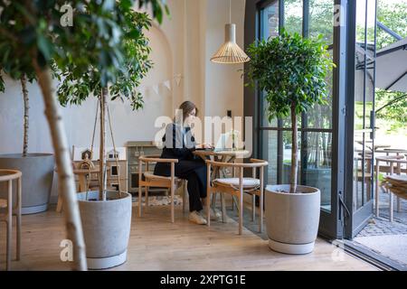 Woman focusing on laptop while sitting on a park bench and styling her ...