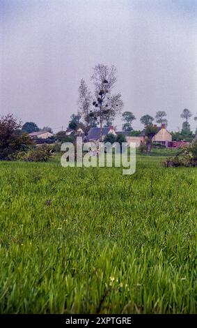 typical farm in farmland Normandy Stock Photo - Alamy