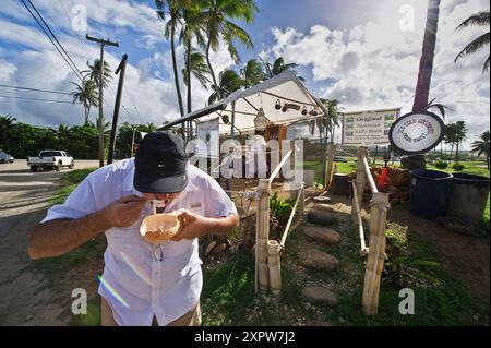 Tourist eating coconut at a local market on Oahu, Hawaii Stock Photo ...