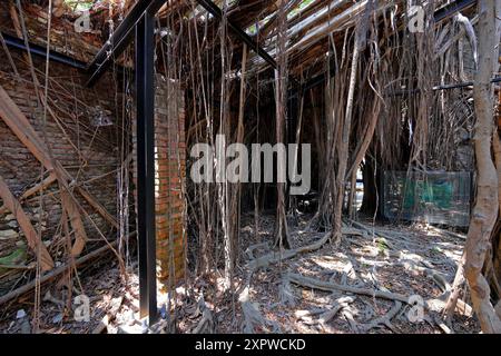Anping Tree House, a former warehouse overgrown with banyan trees at ...