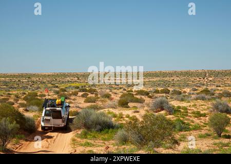 4wd crossing dunes on the French Line Track; Munga-Thirri–Simpson ...