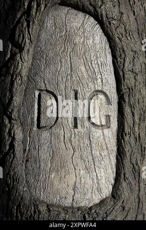 The Dig Tree, Burke and Wills expedition, Coopers Creek near Innaminka ...