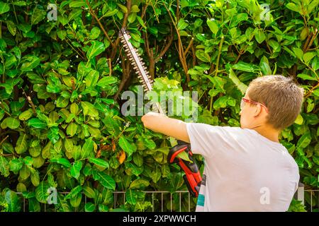 Gardening service concept Stock Photo - Alamy