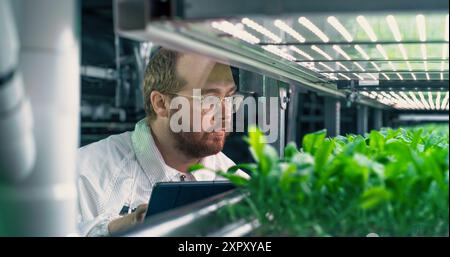 Agricultural Grower Working in a Corridor in a Vertical Farm Facility ...