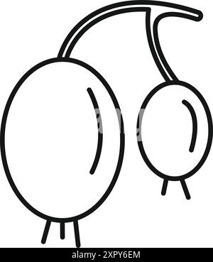 Simple line drawing of two gooseberries hanging from a branch with ...