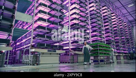 Vertical Farming Concept. Rack with Vertically Stacked Layers of Green ...