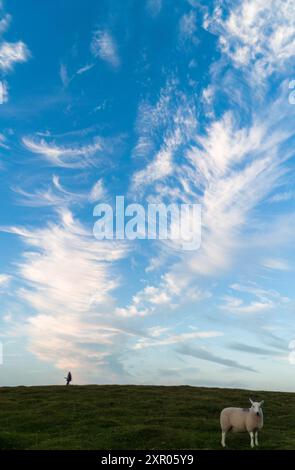 Evening Cloudscape with wispy white cirrus clouds in an orange blue sky ...