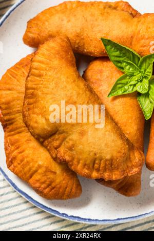 Homemade Italian Panzerotti Pizza Calzone with Cheese and Sauce Stock ...