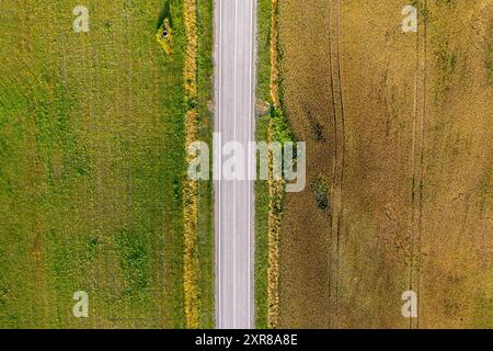 A road with white lane markings runs straight through a field of grass ...