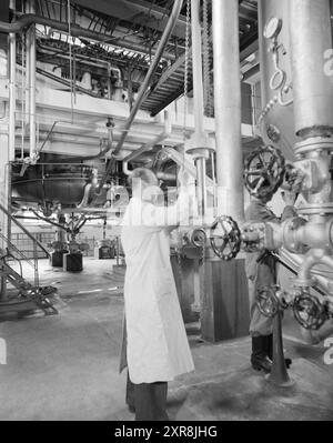 Current 14-15-1951: Ice-cold beer in the heat. Visit to Oslo's three ...