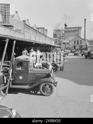 Current 14-15-1951: Ice-cold beer in the heat. Visit to Oslo's three ...