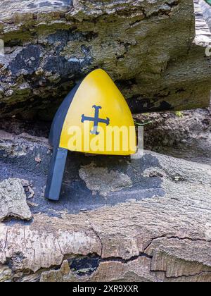 Medieveal Helmet in an English Oak tree bearing the colours of Lord ...