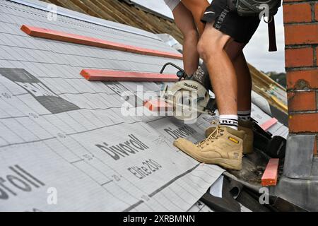 cut wooden battens Stock Photo - Alamy