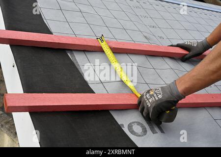 Roofing work, builder using tape measure to measure spacing between two ...