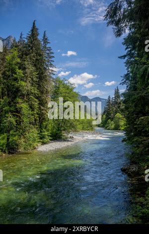 View from the Middle Fork Snoqualmie River Trail of the Middle Fork ...
