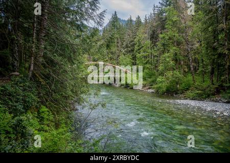 Hiking bridge over the Middle Fork Snoqualmie River, Mount Baker ...