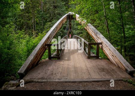 Hiking bridge over the Middle Fork Snoqualmie River, Mount Baker ...