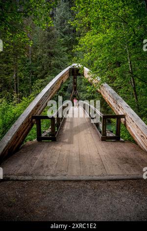 Hiking bridge over the Middle Fork Snoqualmie River, Mount Baker ...