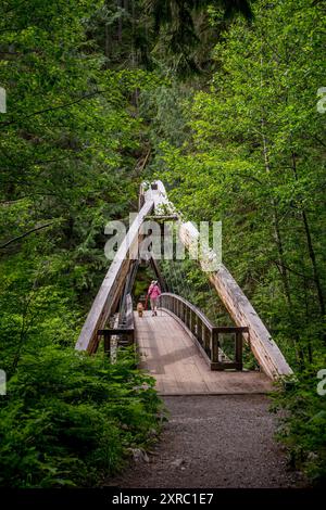 Hiking bridge over the Middle Fork Snoqualmie River, Mount Baker ...