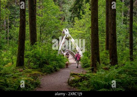 Hiking bridge over the Middle Fork Snoqualmie River, Mount Baker ...