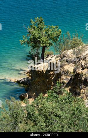 Break-off edge with tree at Lac de Sainte-Croix, Provence-Alpes-Cote d ...