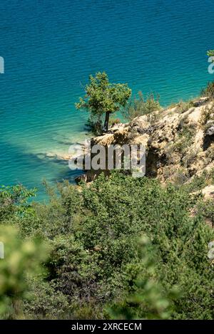 Break-off edge with tree at Lac de Sainte-Croix, Provence-Alpes-Cote d ...