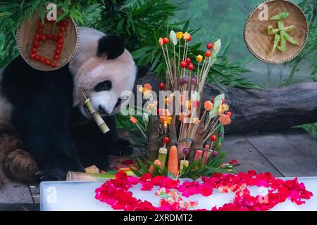 CHONGQING, CHINA - AUGUST 10, 2024 - Giant panda Er Shun celebrates her ...