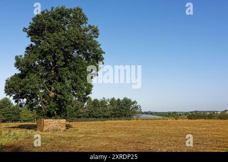 One of several Brick Built Machine Gun Emplacements at Hatton Airfield ...