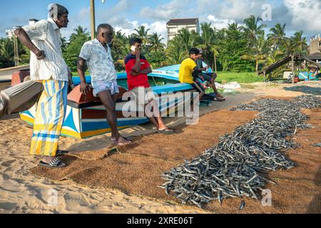 Fishermen rest prior to packing dried fish into cardboard boxes on ...