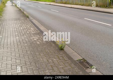 Empty motorway in small german town Stock Photo - Alamy