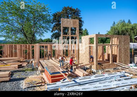 BELLEVUE, WA – JUN 26, 2024: construction crew hard at work framing new ...