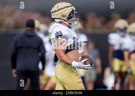 Notre Dame running back Aneyas Williams (22) rushes for a touchdown during the fourth quarter of ...