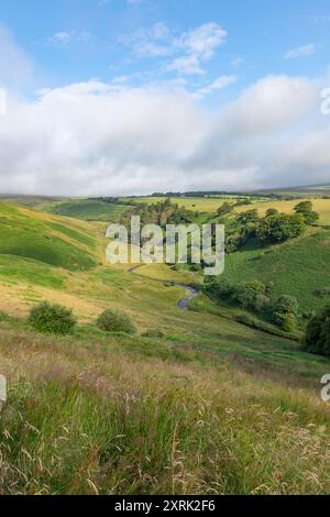Exmoor National Park - The valley of the infant River Exe just north of ...